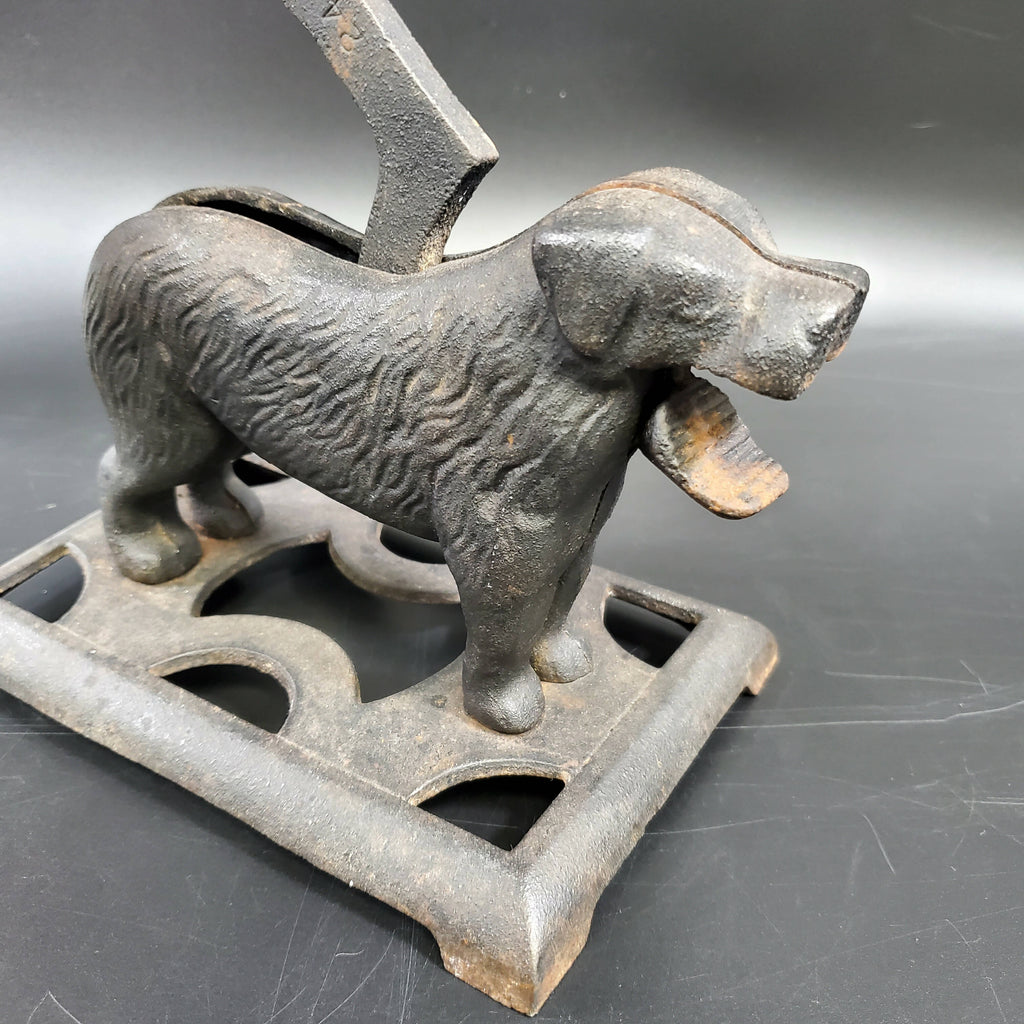 Cast Iron Dog Nut Cracker – GasLamp Antiques